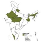 Carbon Footprint Analysis of Tea Value Chain - IORA Ecological Solutions