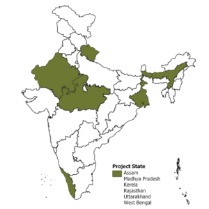 Carbon Footprint Analysis of Tea Value Chain - IORA Ecological Solutions