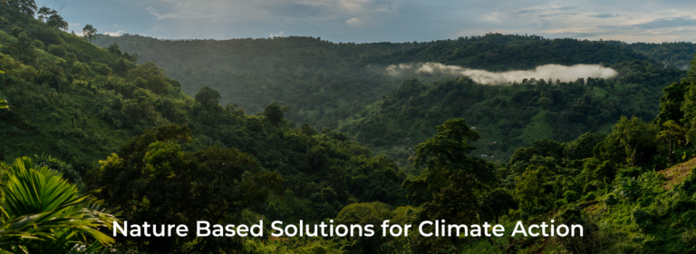 Nature-Based Solutions for Climate Action - IORA Ecological Solutions
