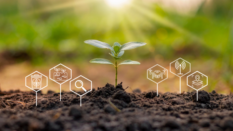 HOME - IORA Ecological Solutions